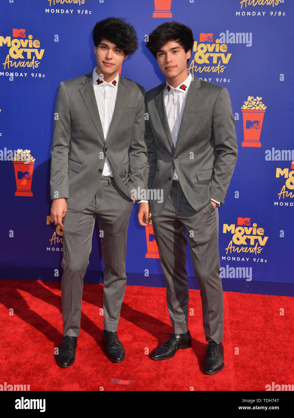Alan Stokes, Alex Stokes attends the 2019 MTV Movie and TV Awards at ...
