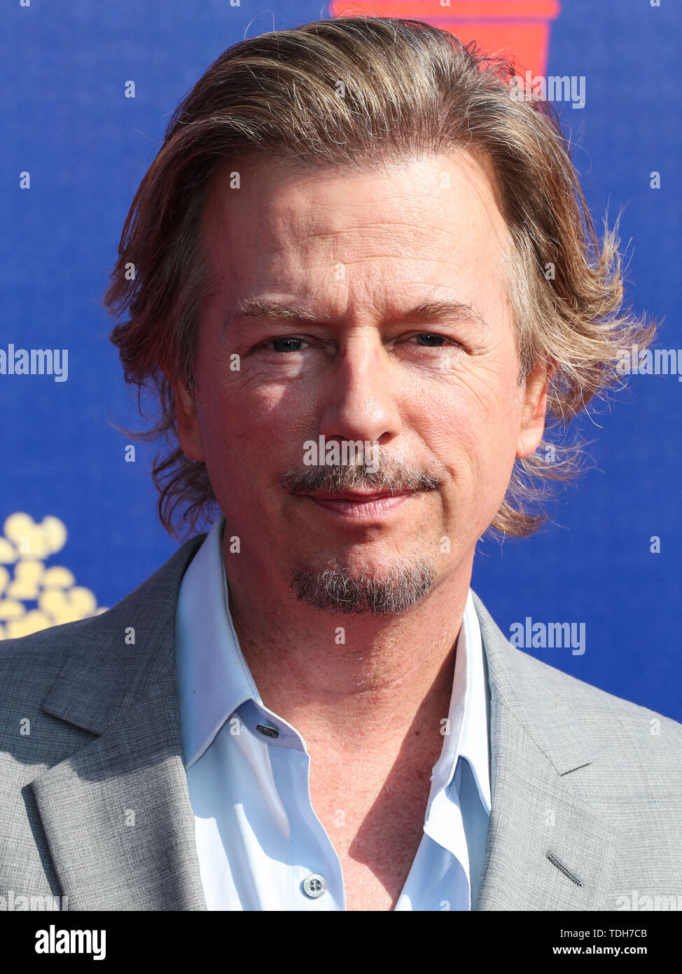 Santa Monica, USA. 15th June, 2019. Actor David Spade arrives at the ...