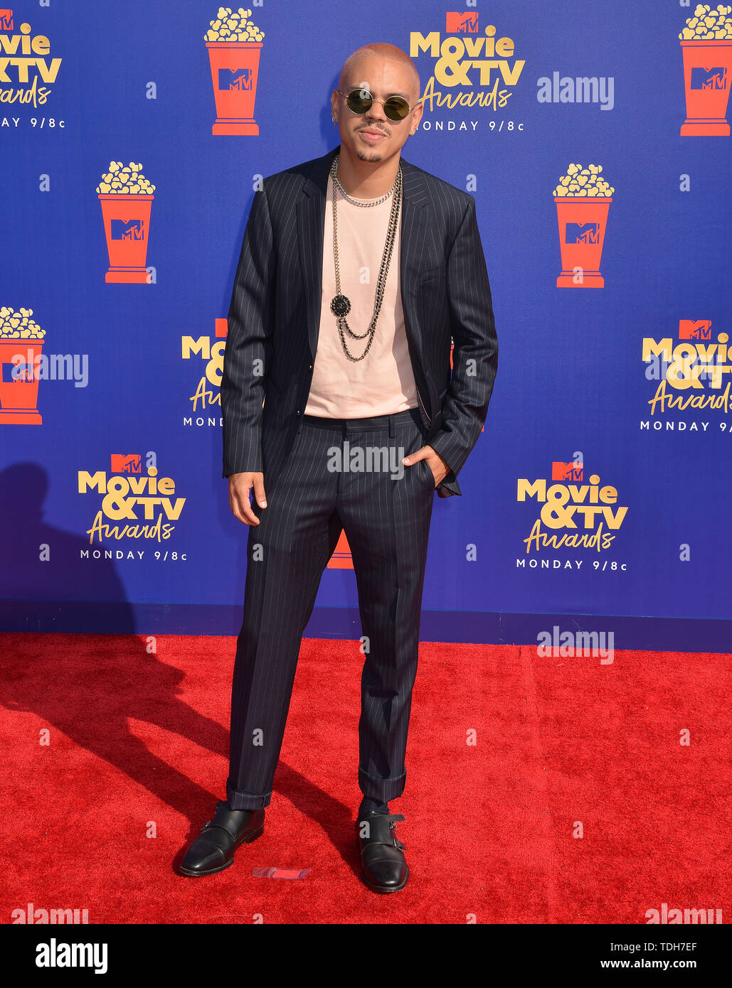 Los Angeles, USA. 15th June, 2019. Evan Ross 176 attends the 2019 MTV ...