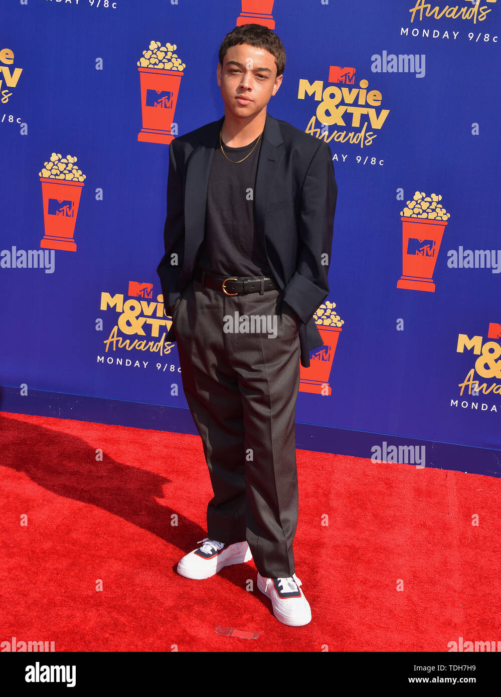 Los Angeles, USA. 15th June, 2019. Jason Genao 185 attends the 2019 MTV ...