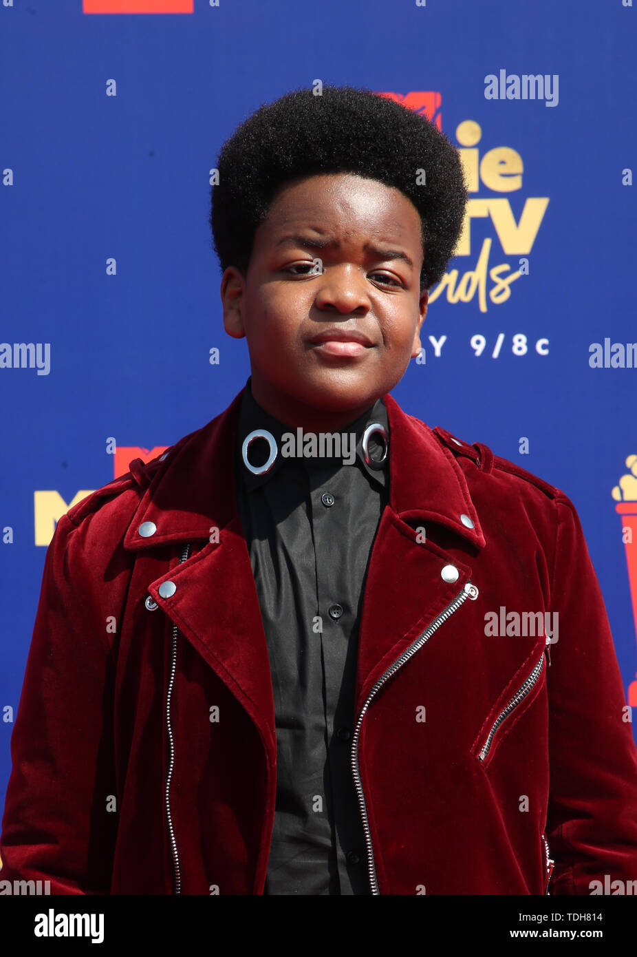 SANTA MONICA, CA - JUNE15: Keith L. Williams, at the 2019 MTV Movie ...