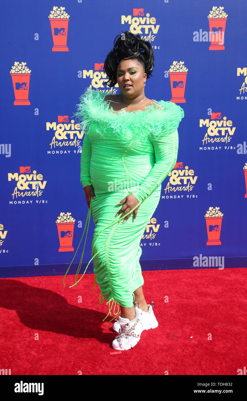 SANTA MONICA, CA - JUNE15: Lizzo, at the 2019 MTV Movie & TV Awards ...