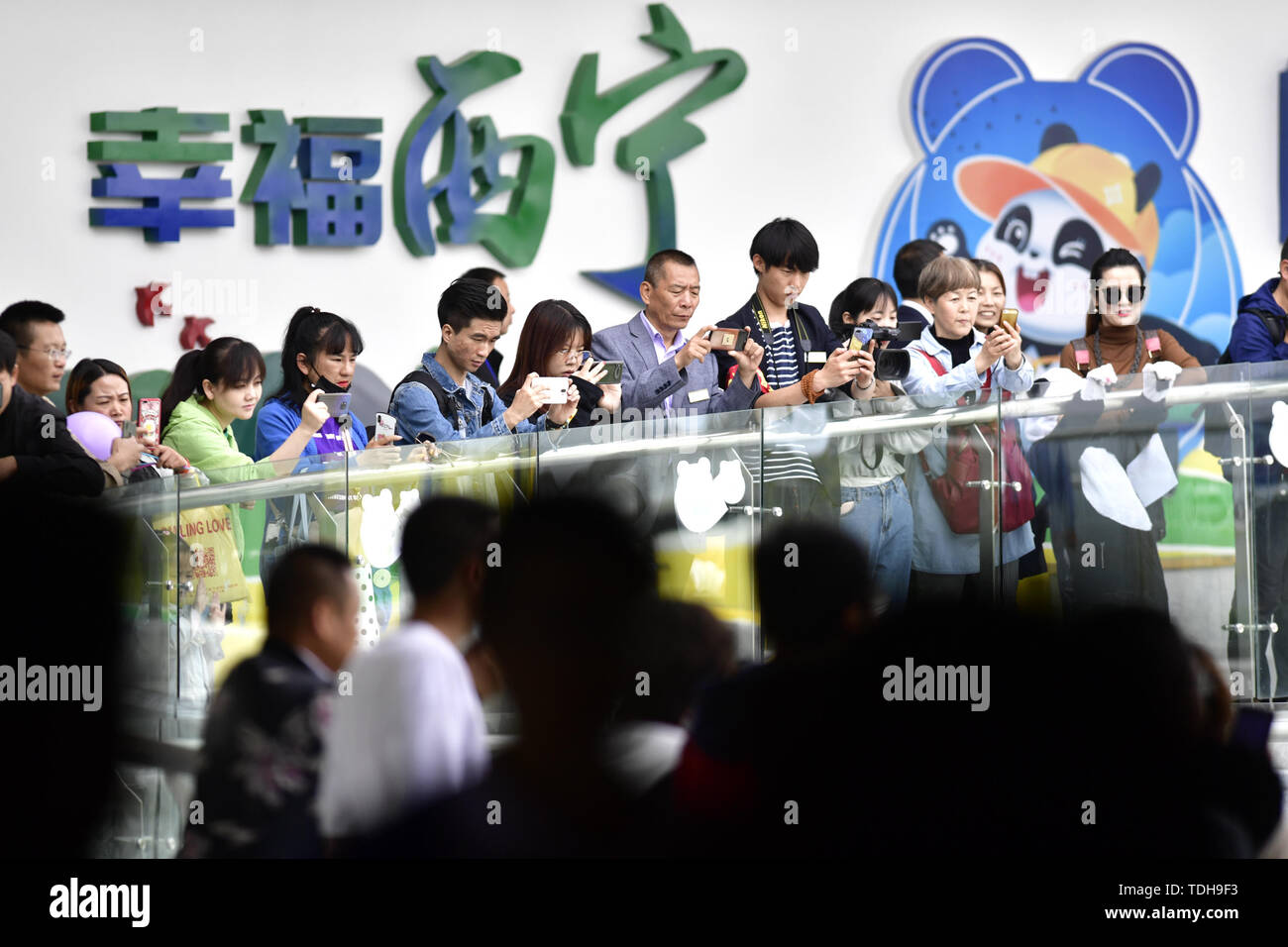 Qinghai, China. 16th June, 2019. People visit the panda house in the ...