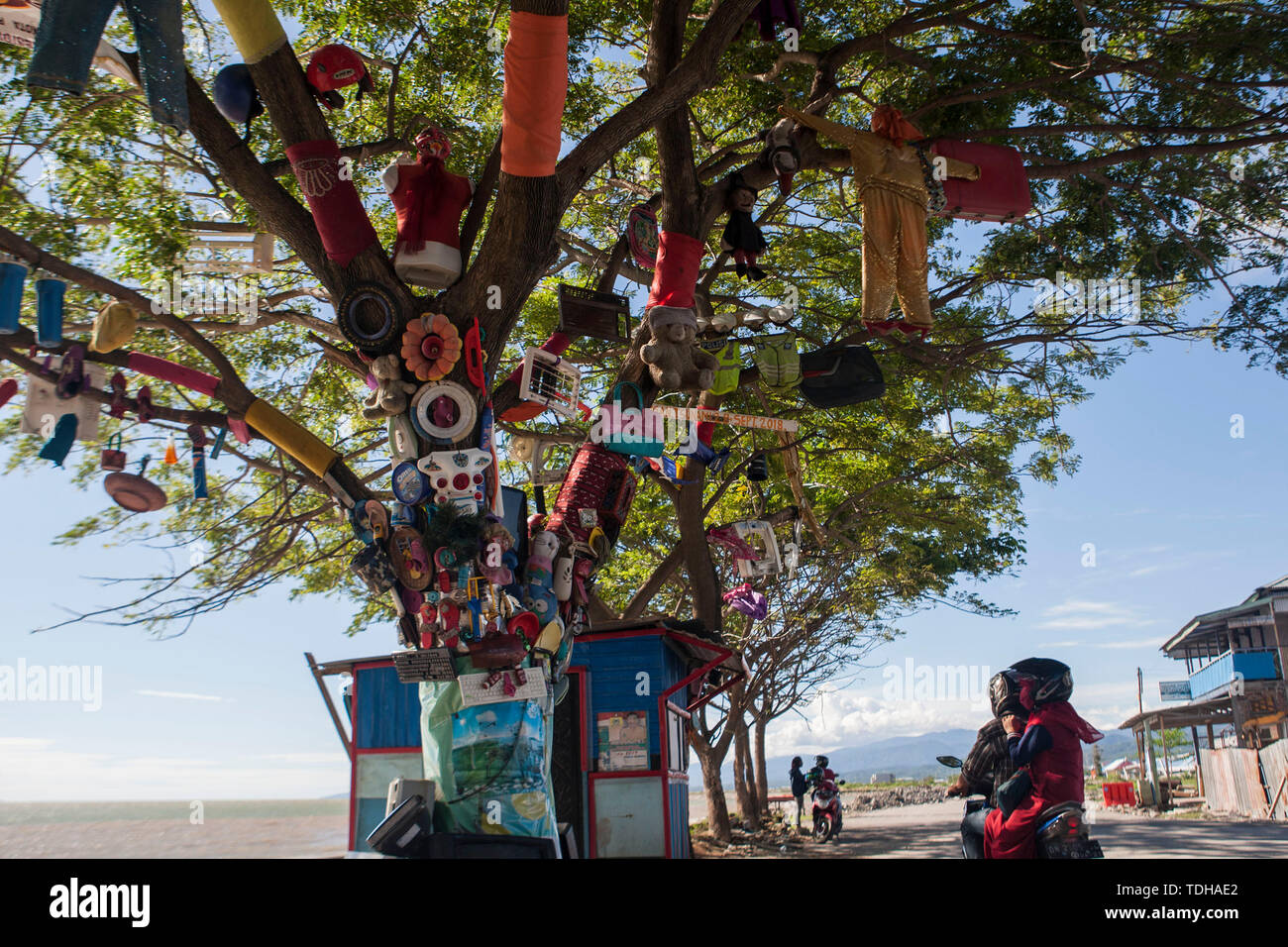 Palu, Indonesia. 16th June, 2019. People pass by a tree installed with ...