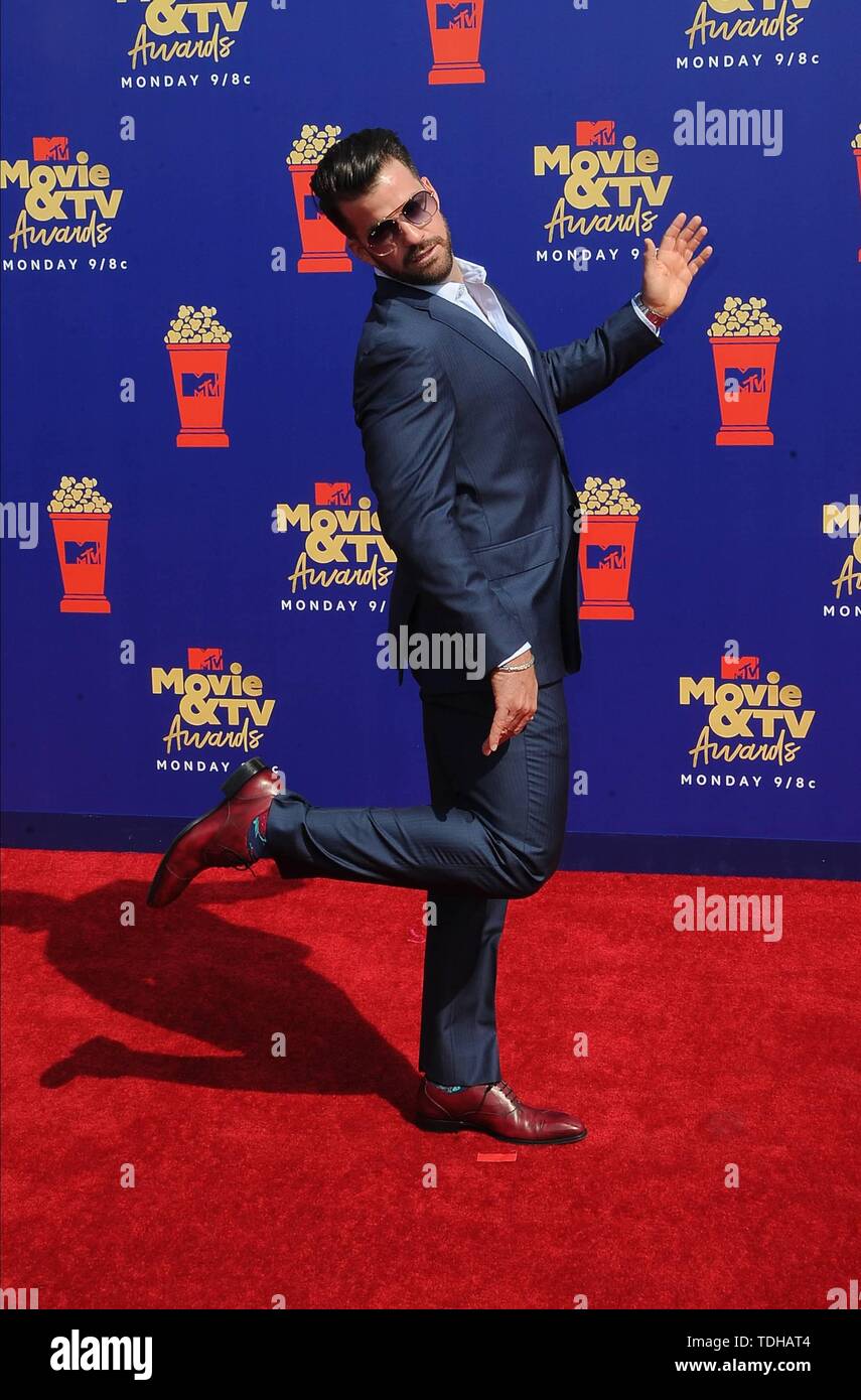 Los Angeles, USA. 16th June 2019. Johnny Bananas attends the 2019 MTV ...