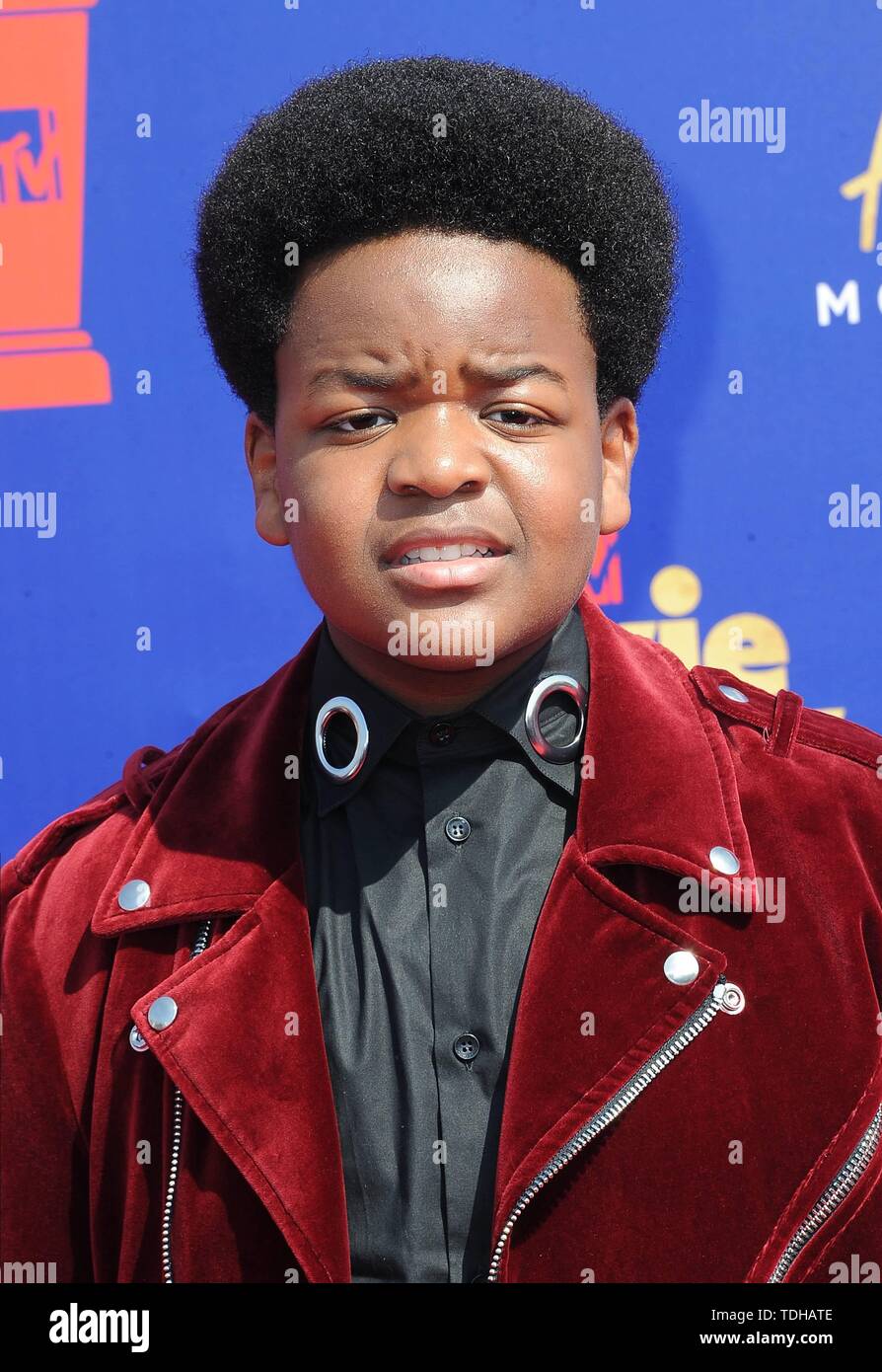 Los Angeles, USA. 16th June 2019. Keith L. Williams attend s the 2019 ...