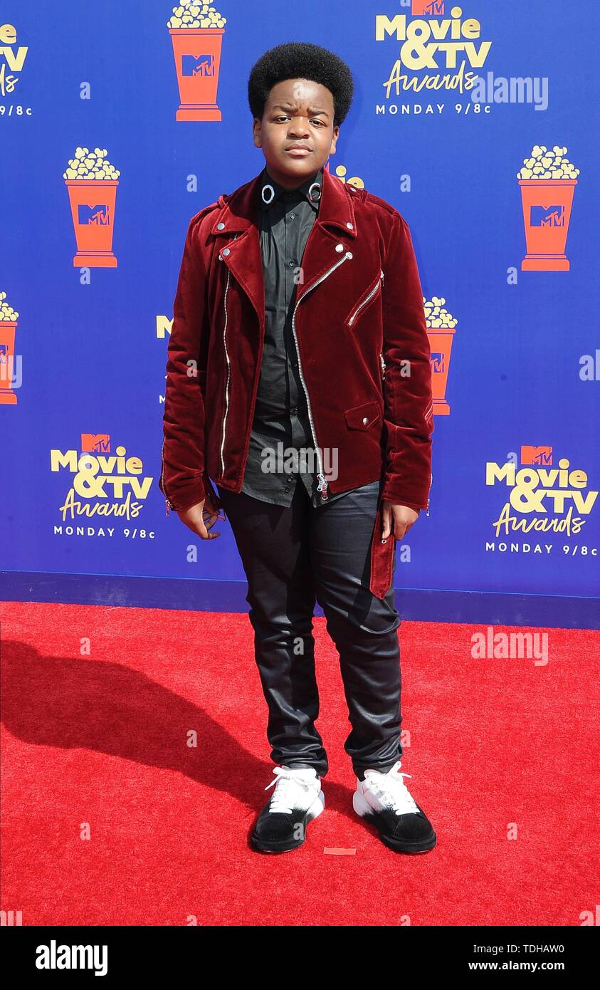 Los Angeles, USA. 16th June 2019. Keith L. Williams attend s the 2019 ...