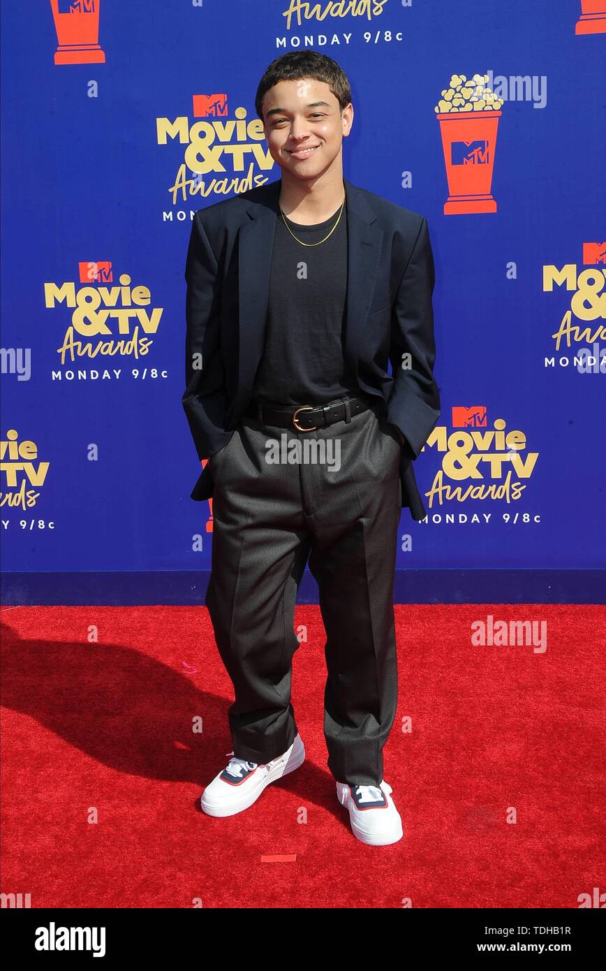 Los Angeles, USA. 16th June 2019. Jason Genao attends the 2019 MTV ...