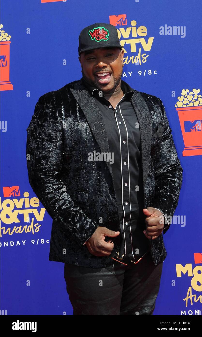 Los Angeles, USA. 16th June 2019. Rip Micheals attends the 2019 MTV ...