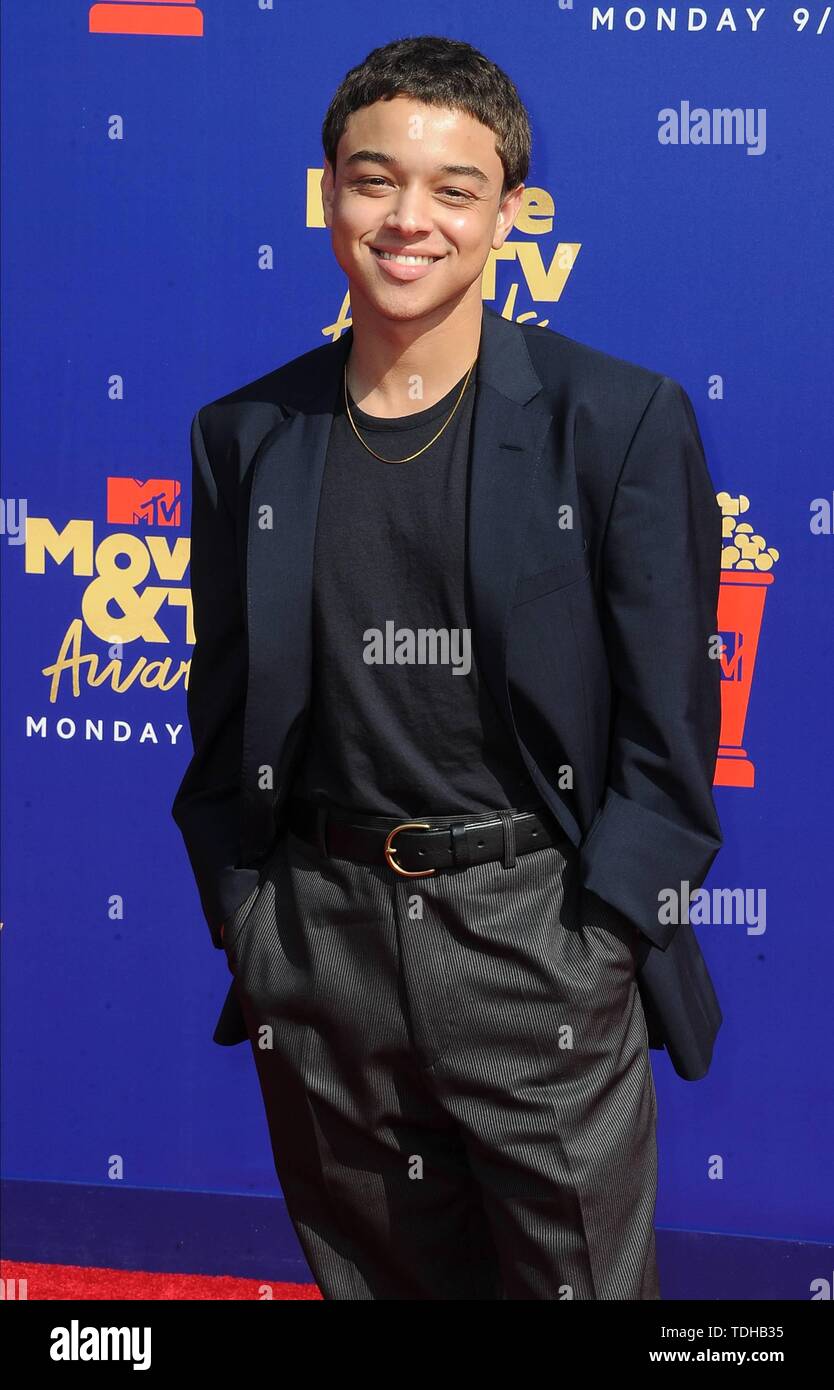 Los Angeles, USA. 16th June 2019. Jason Genao attends the 2019 MTV ...