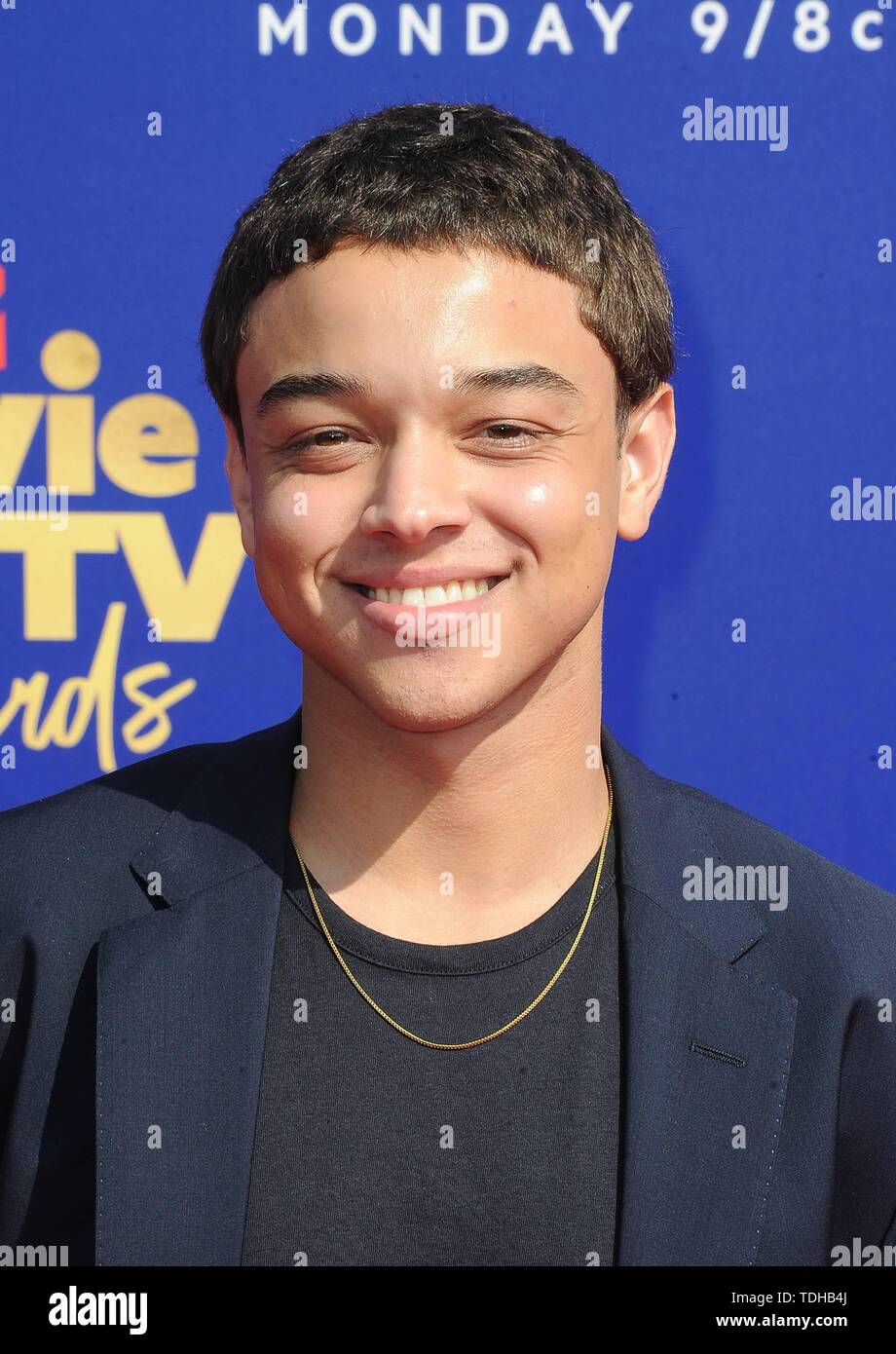 Los Angeles, USA. 16th June 2019. Jason Genao attends the 2019 MTV ...