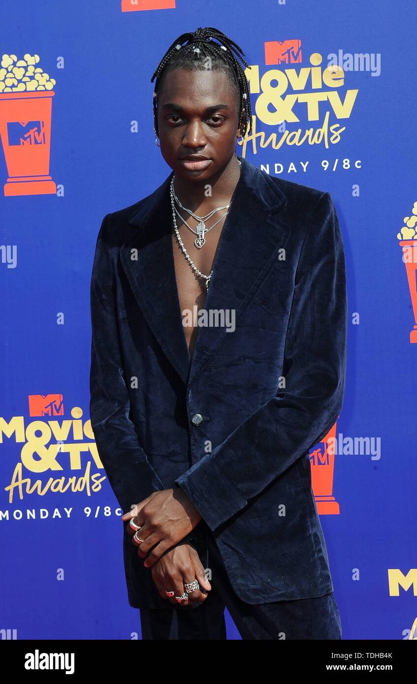 Los Angeles, USA. 16th June 2019. Rickey Thompson attends the 2019 MTV ...
