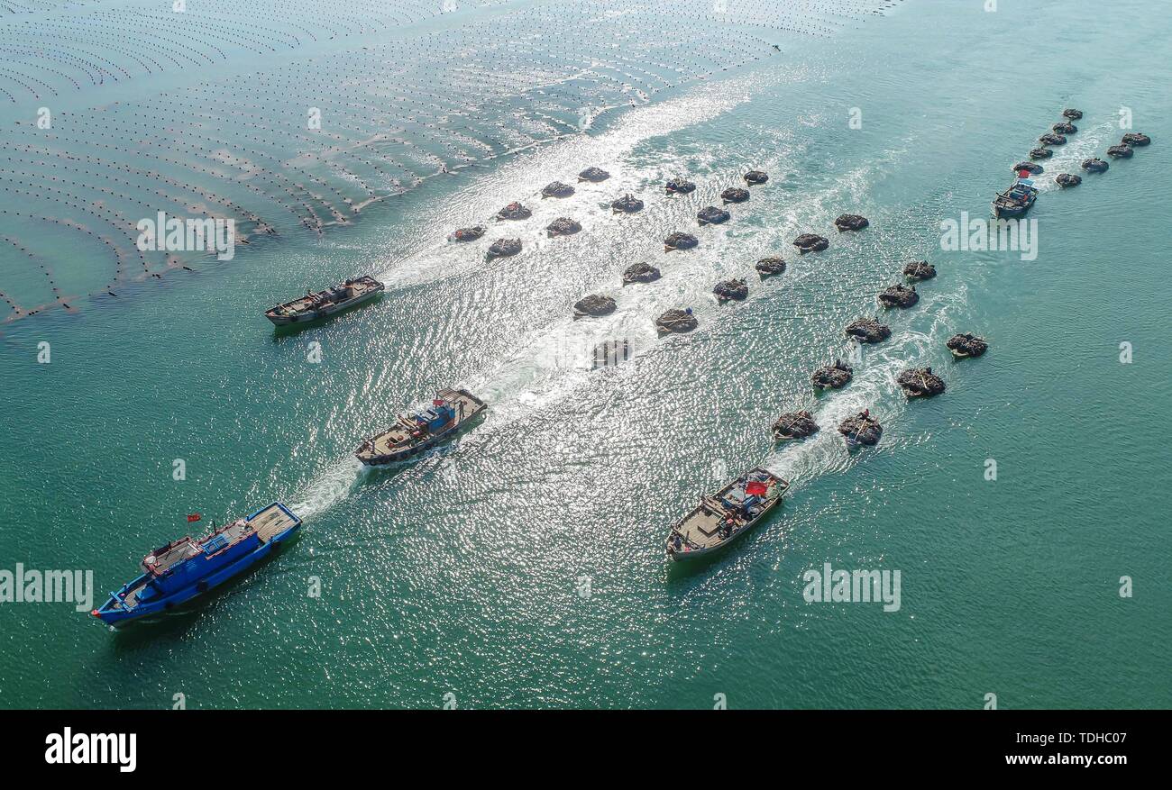 Rongcheng. 16th June, 2019. Aerial photo taken on June 16, 2019 shows ...