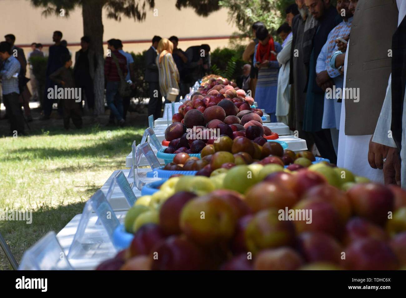 (190616) -- MAZAR-I-SHARIF, June 16, 2019 (Xinhua) -- People visit an ...