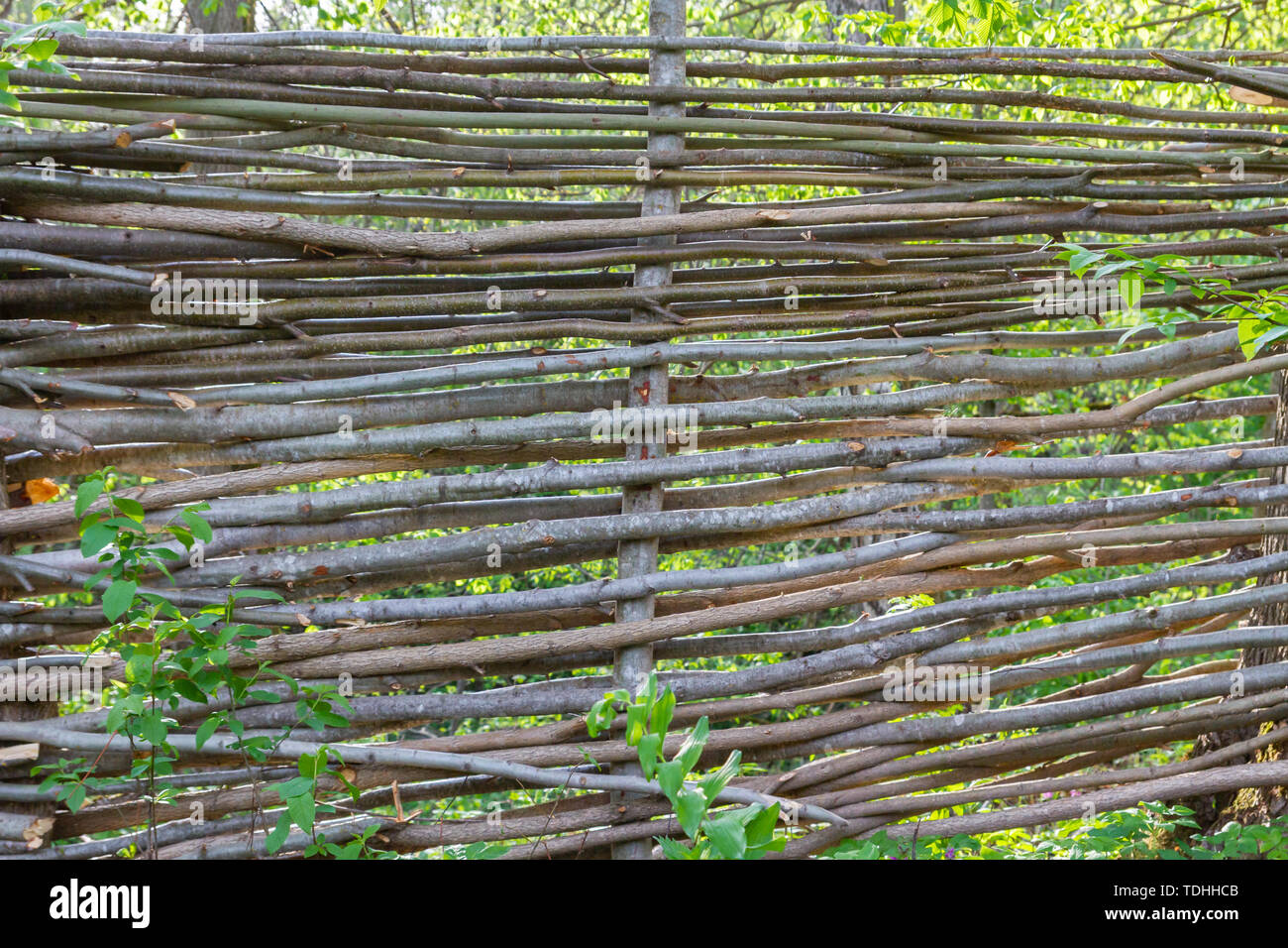 A fence made of tree branches woven together Stock Photo - Alamy
