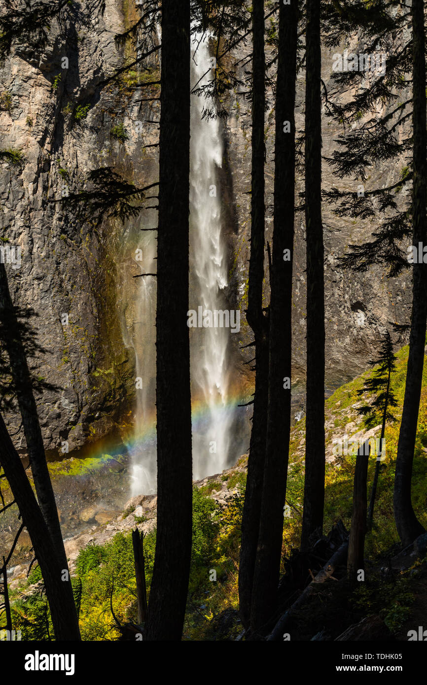 Rainbow behind the trees hi-res stock photography and images - Alamy