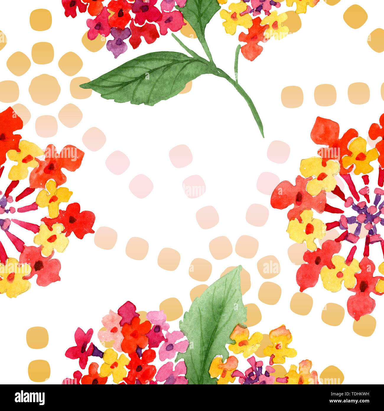 Red lantana floral botanical flowers. Wild spring leaf wildflower ...