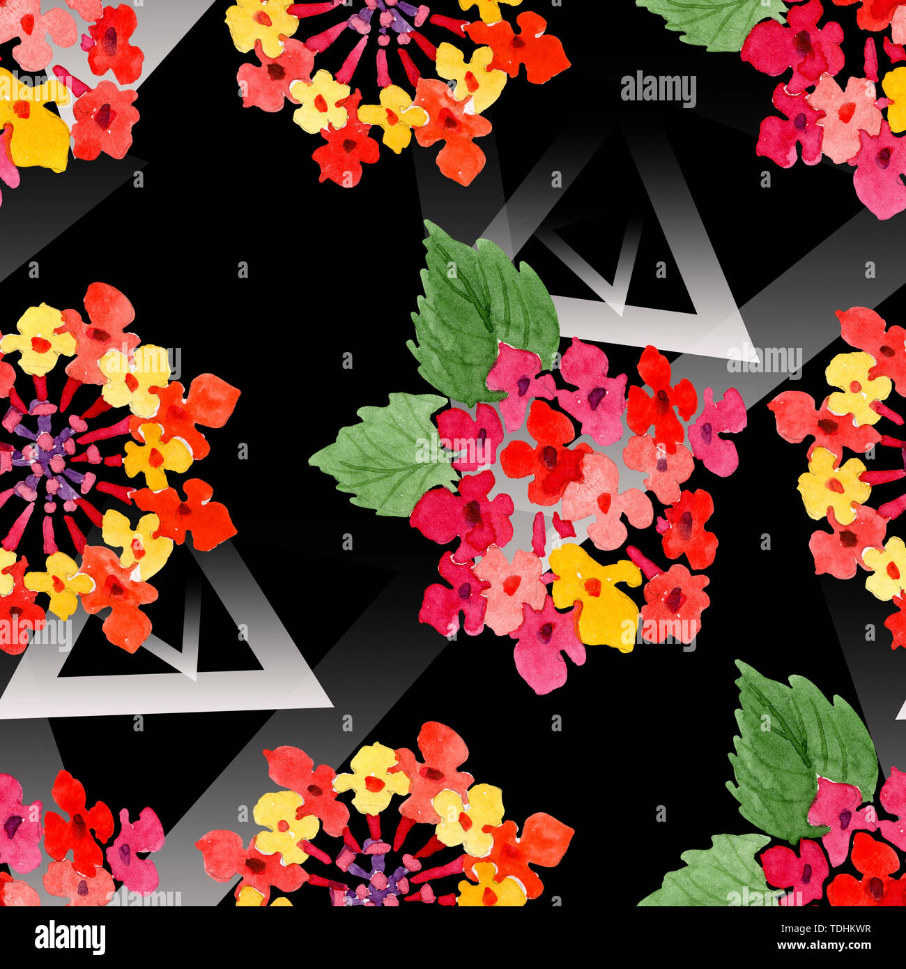 Red lantana floral botanical flowers. Wild spring leaf wildflower ...