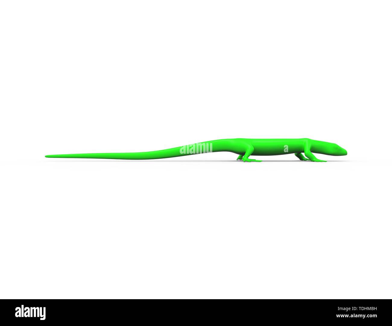 3d rendering of a green lizard isolated in white studio background ...