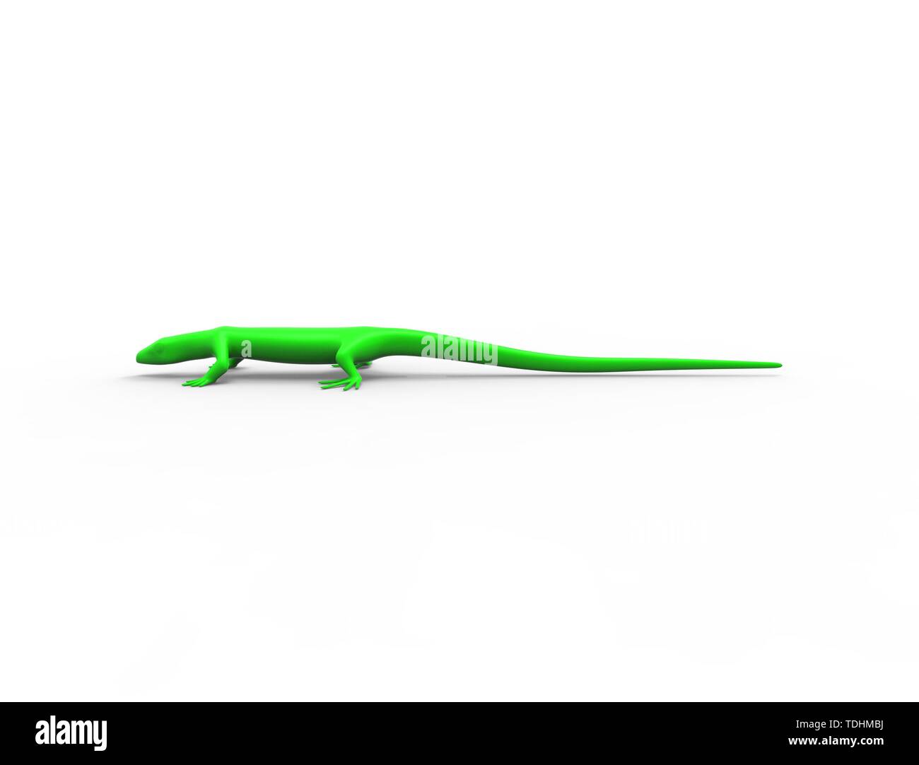 3d rendering of a green lizard isolated in white studio background ...