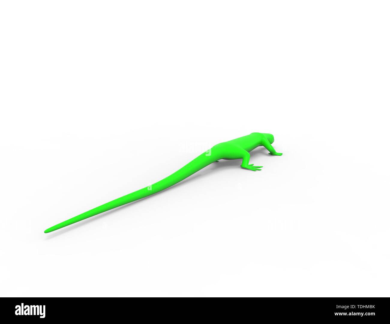 3d rendering of a green lizard isolated in white studio background ...