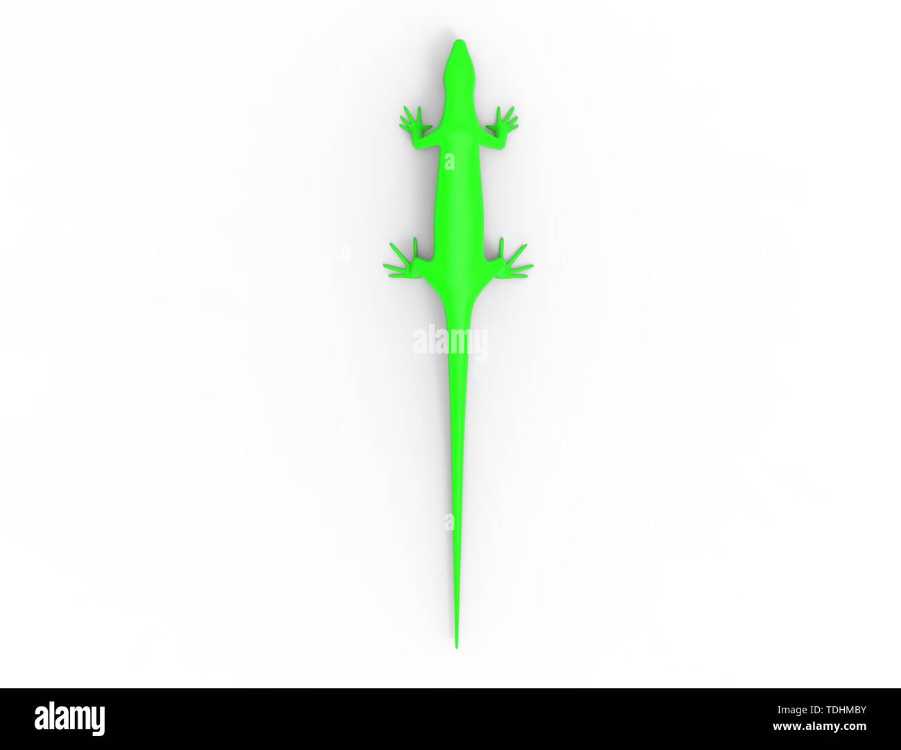 3d rendering of a green lizard isolated in white studio background ...