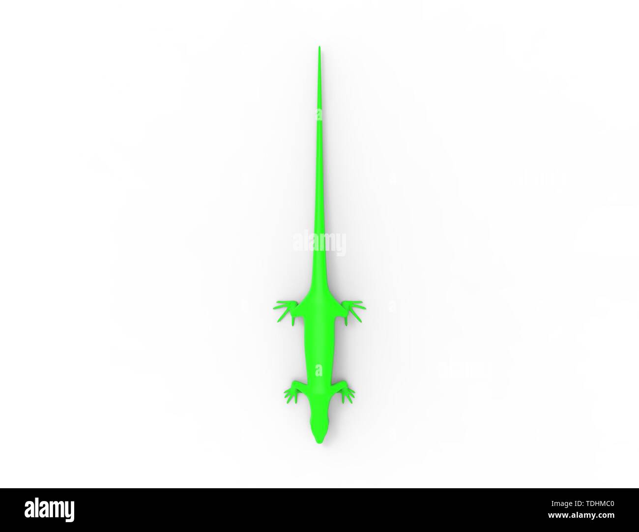 3d rendering of a green lizard isolated in white studio background ...