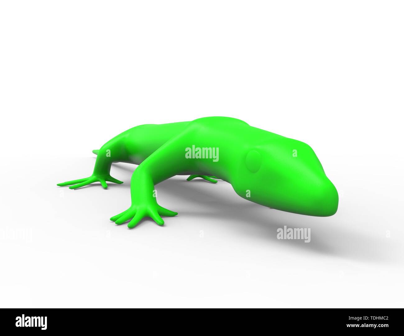 3d rendering of a green lizard isolated in white studio background ...