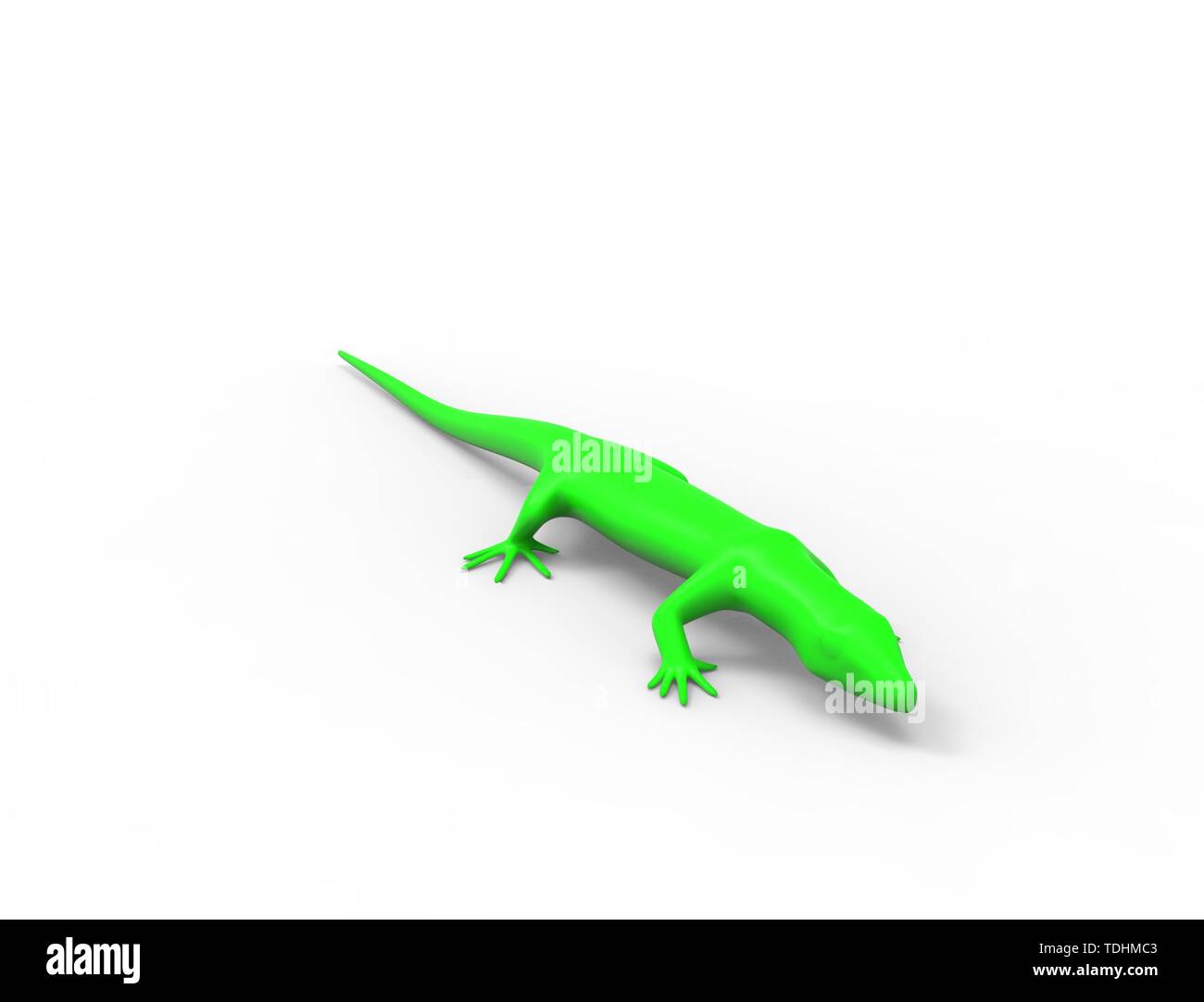 3d rendering of a green lizard isolated in white studio background ...
