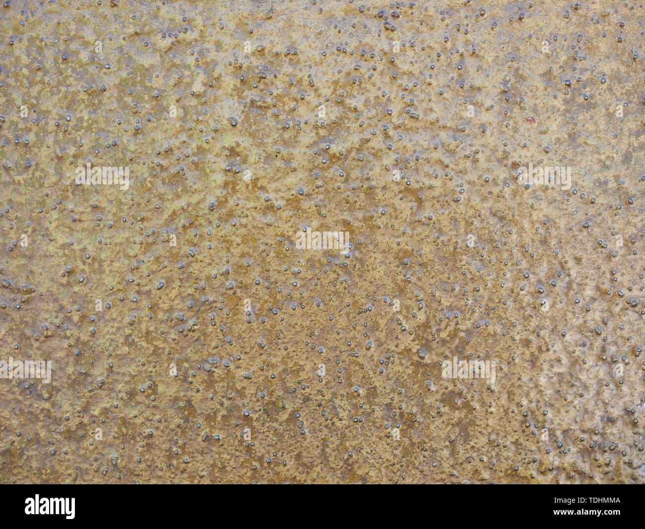 Gold plaster hi-res stock photography and images - Alamy