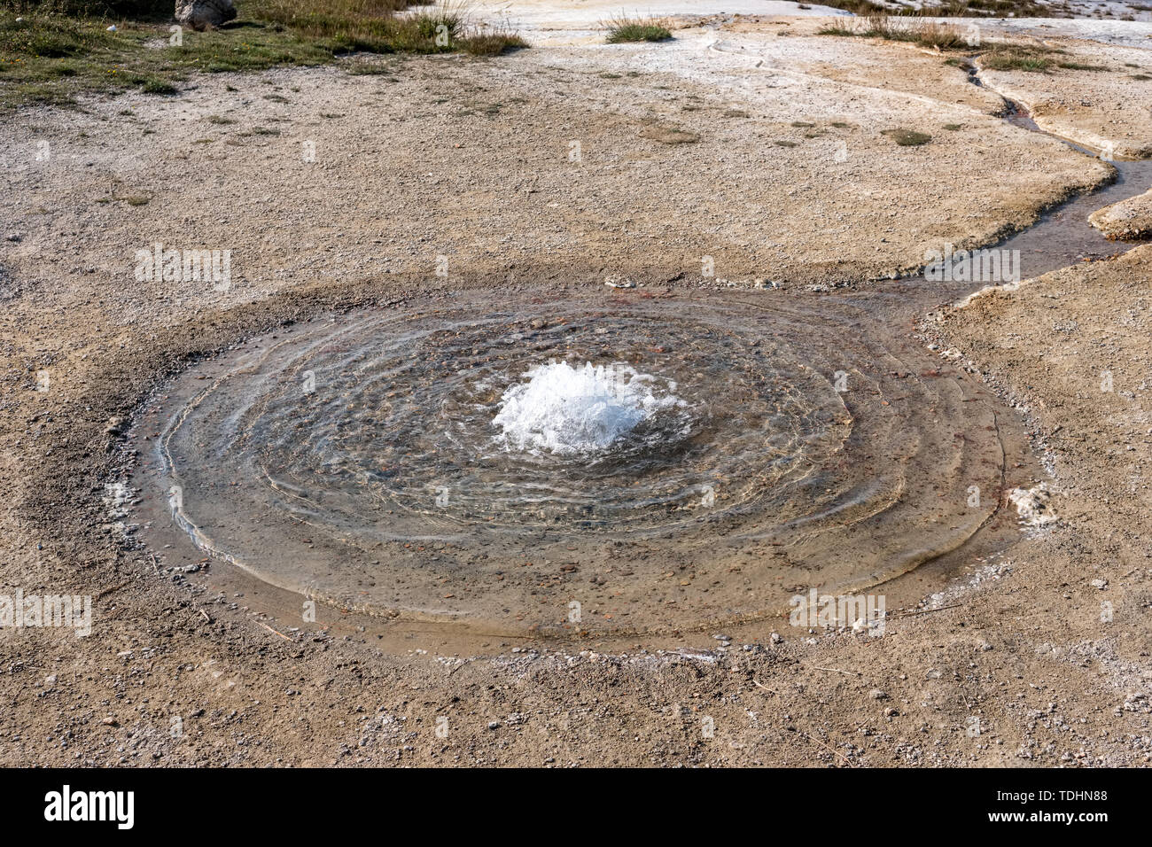 abstract water texture with nature details and pattern Stock Photo - Alamy