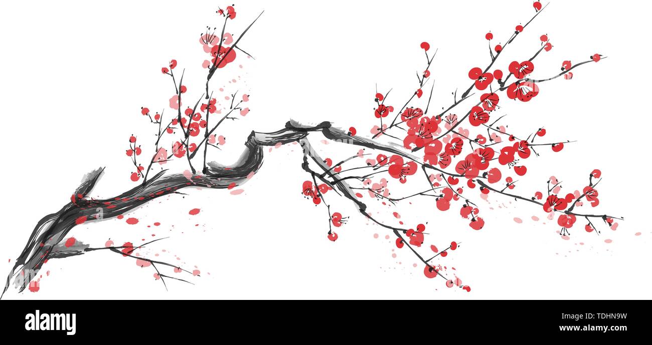 Japanese Cherry Blossom Drawings