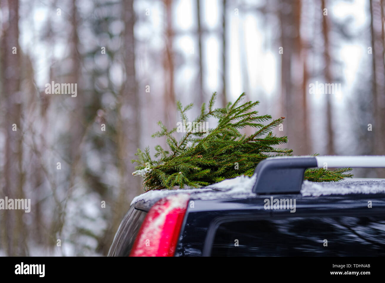 car root with antenna in nature with blur background Stock Photo - Alamy