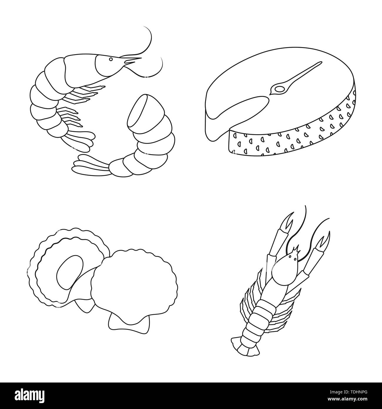 shrimp,salmon,jellyfish,lobster,prawn,fish,cooked,cute,delicacy,jelly ...