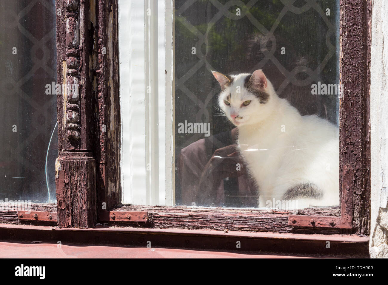 Watching the photographer hi-res stock photography and images - Alamy