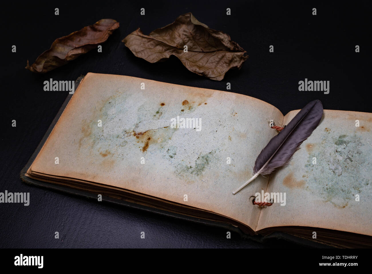 An old diary with stained pages and a small bird's feather. Notebook on ...