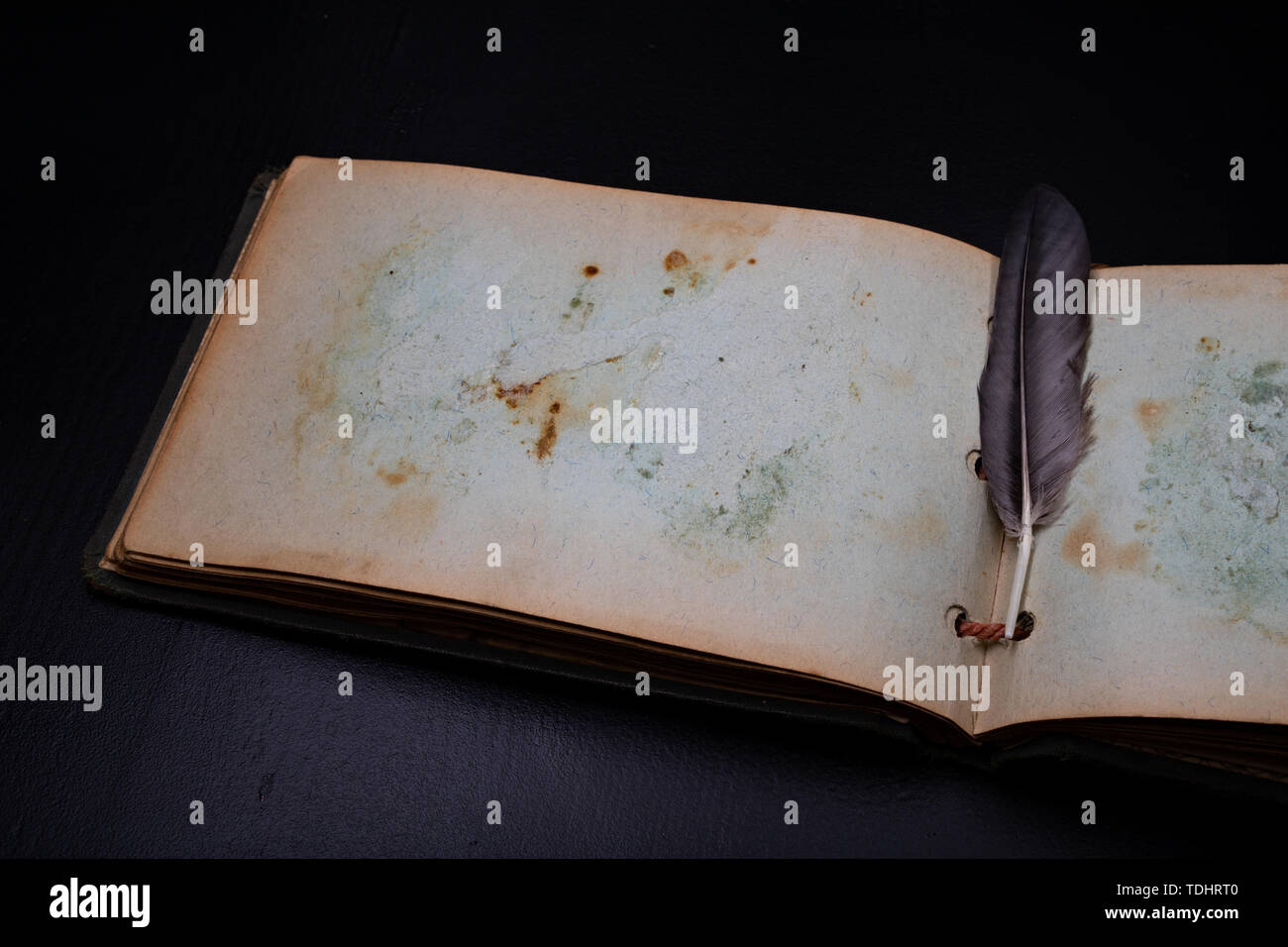 An old diary with stained pages and a small bird's feather. Notebook on ...