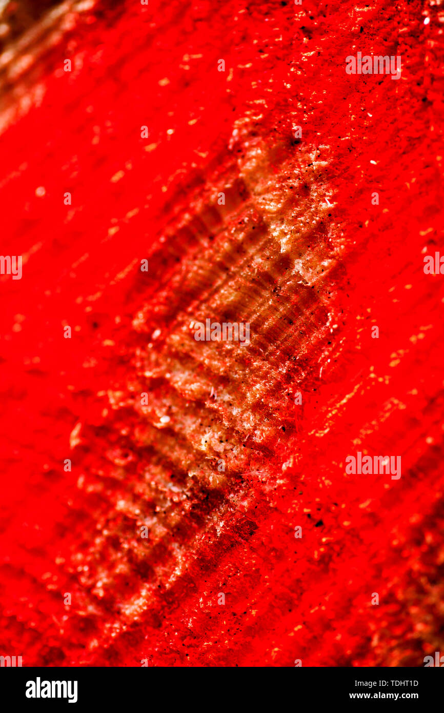 Wood abstract macro background fine art in high quality prints products ...