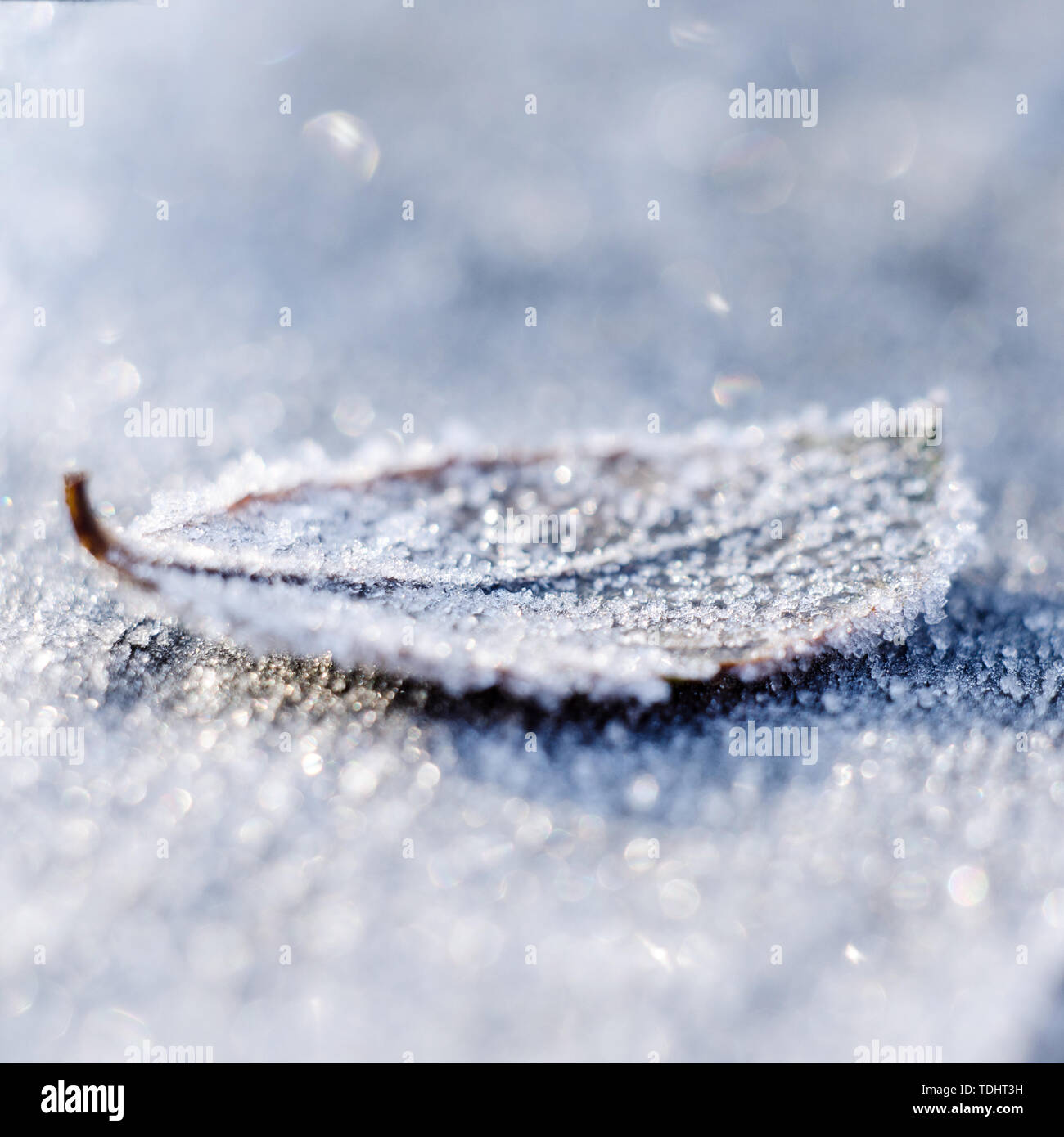 Super soft ice hi-res stock photography and images - Alamy