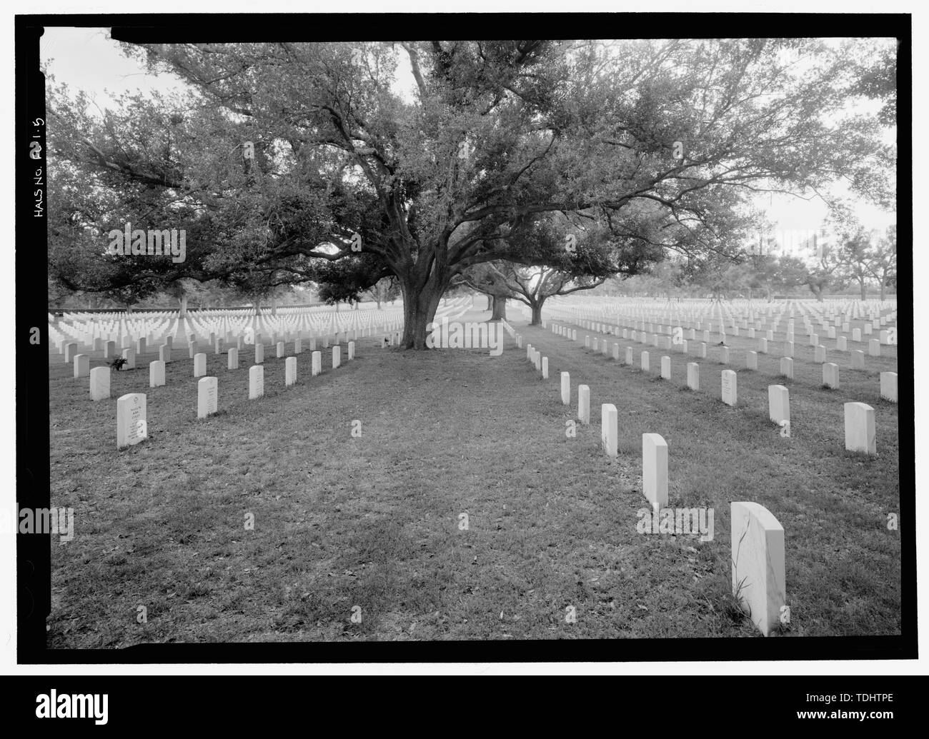 OVERALL VIEW OF CEMETERY SECTION 4, WITH SECTIONS 5, 6, 11 AND 12 IN ...