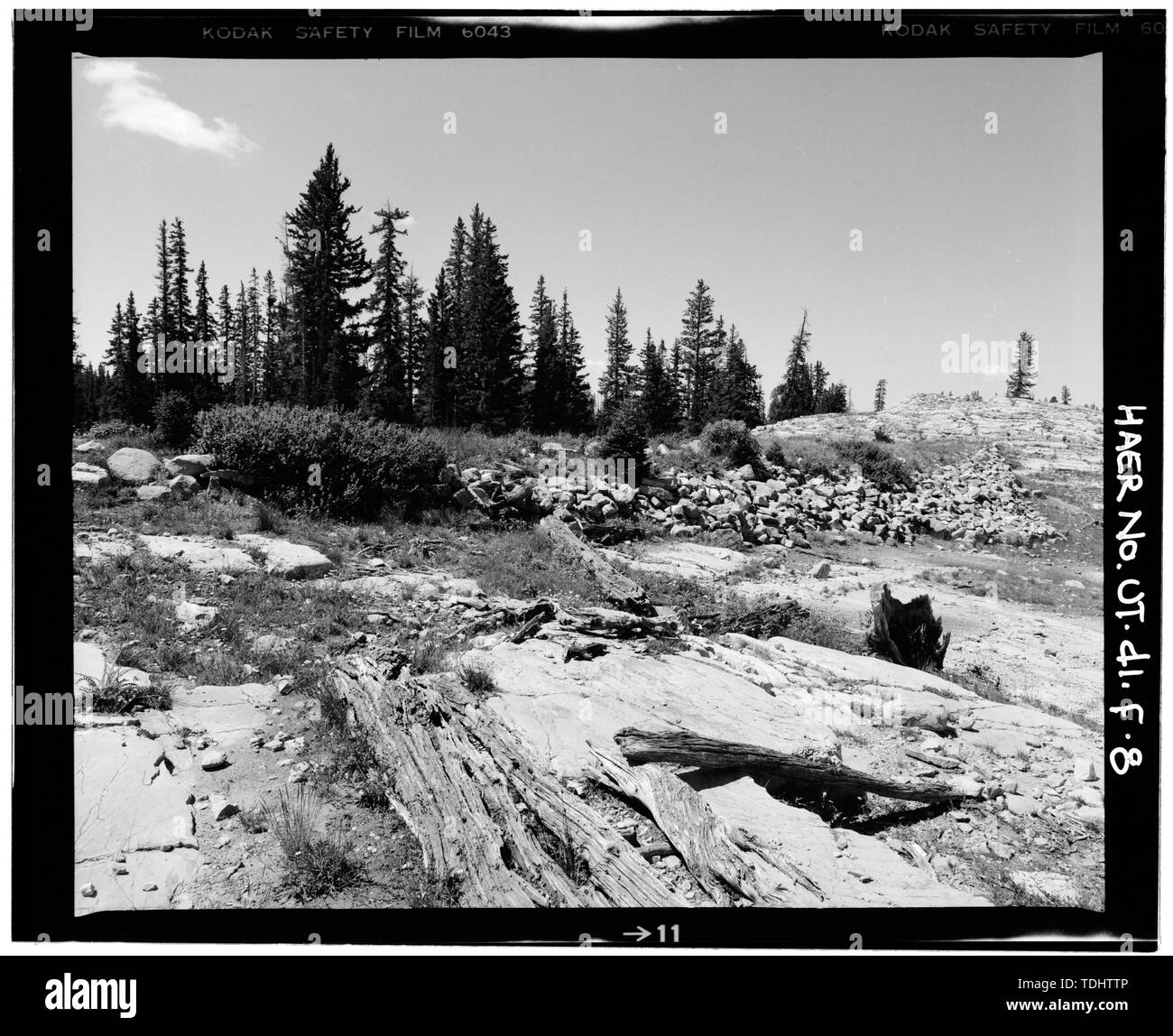 OVERALL VIEW OF DIKE, SHOWING UPSTREAM FACE, LOOKING SOUTH - High ...