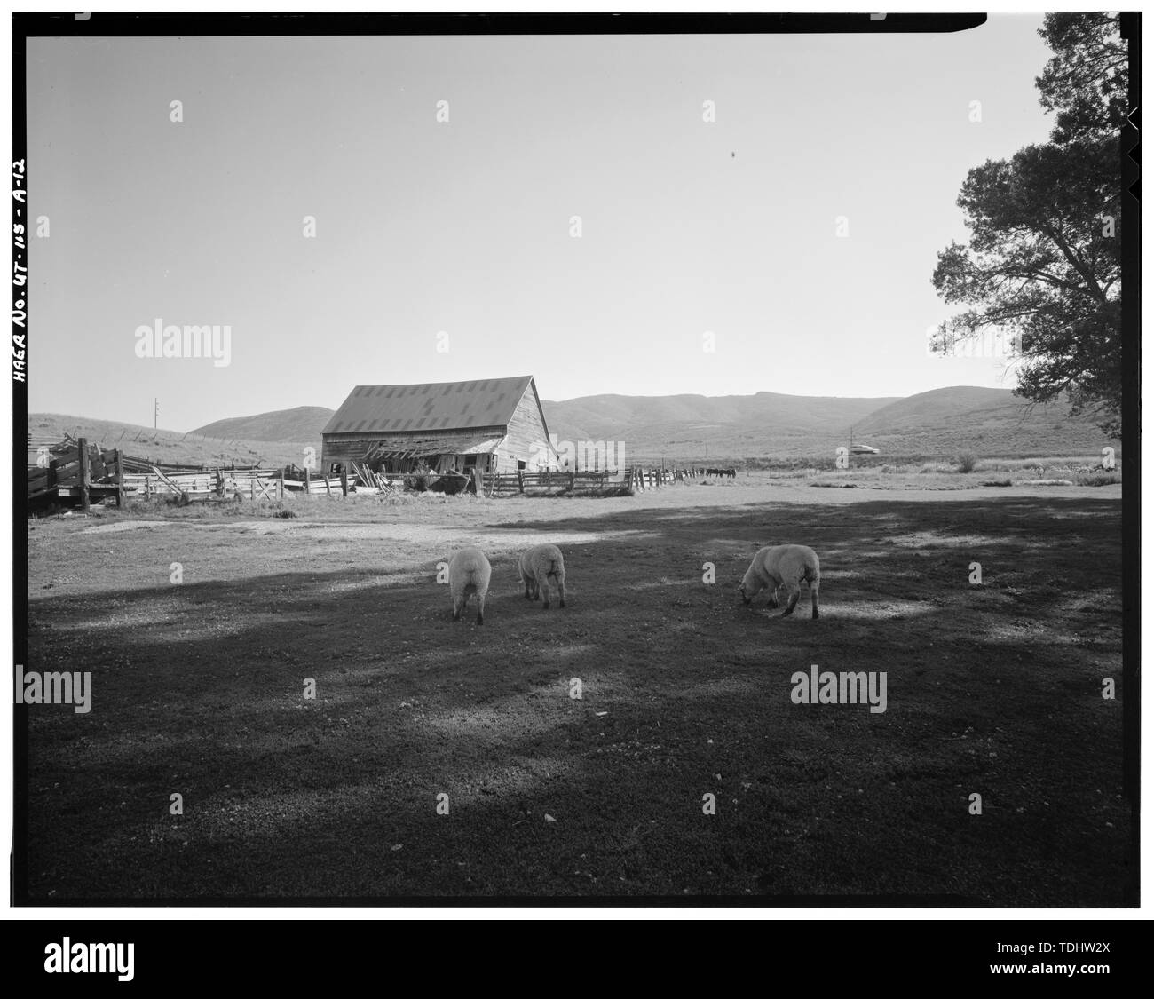 OVERALL VIEW OF RANCH HEADQUARTERS. VIEW TO NORTHEAST FROM RANCH HOUSE ...