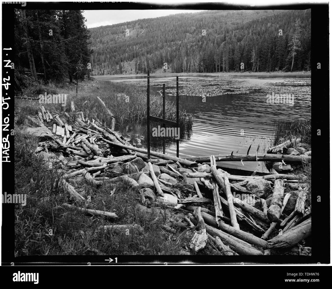OVERALL VIEW OF WATER LILY LAKE AND UPSTREAM FACE OF DAM, SHOWING ...