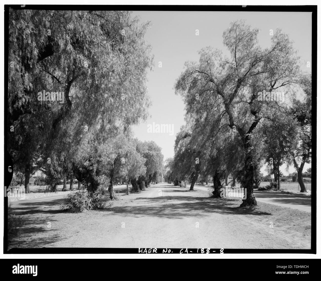 Upland ca hi-res stock photography and images - Alamy