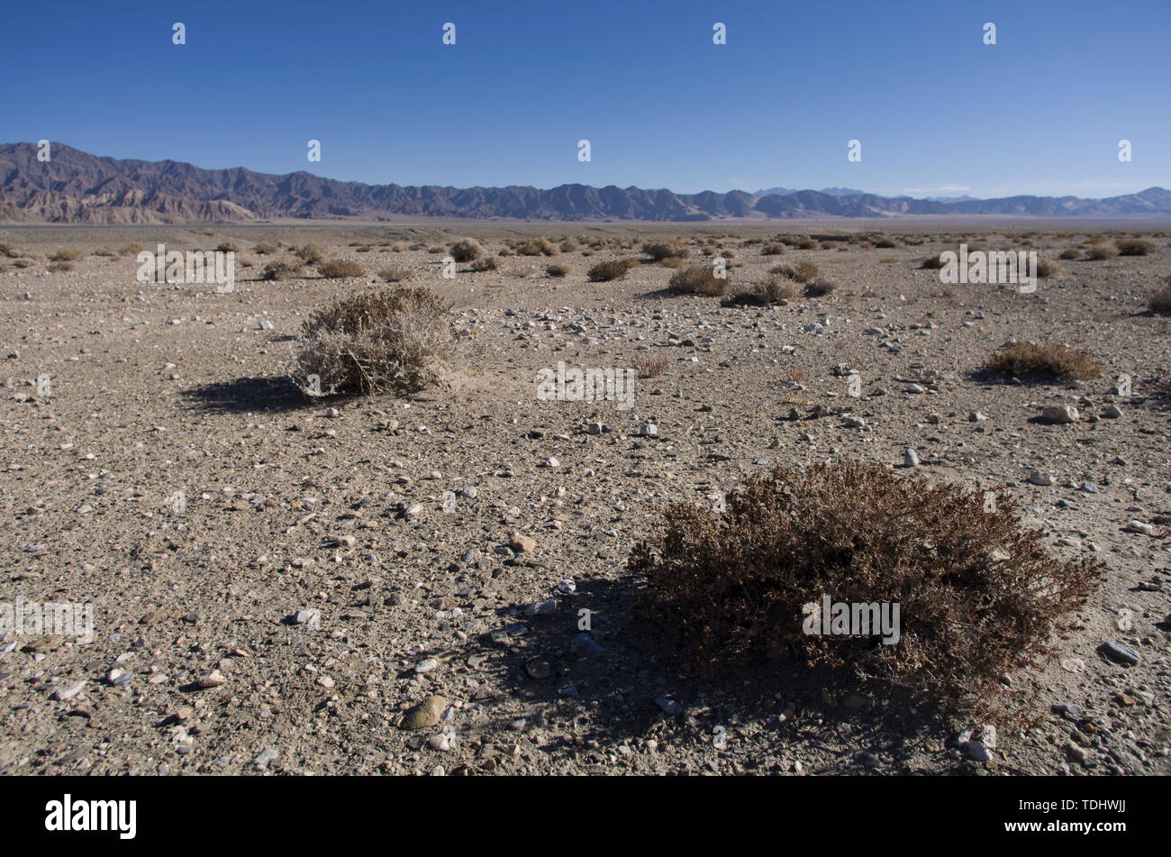Scenery of Qaidam Basin Stock Photo - Alamy