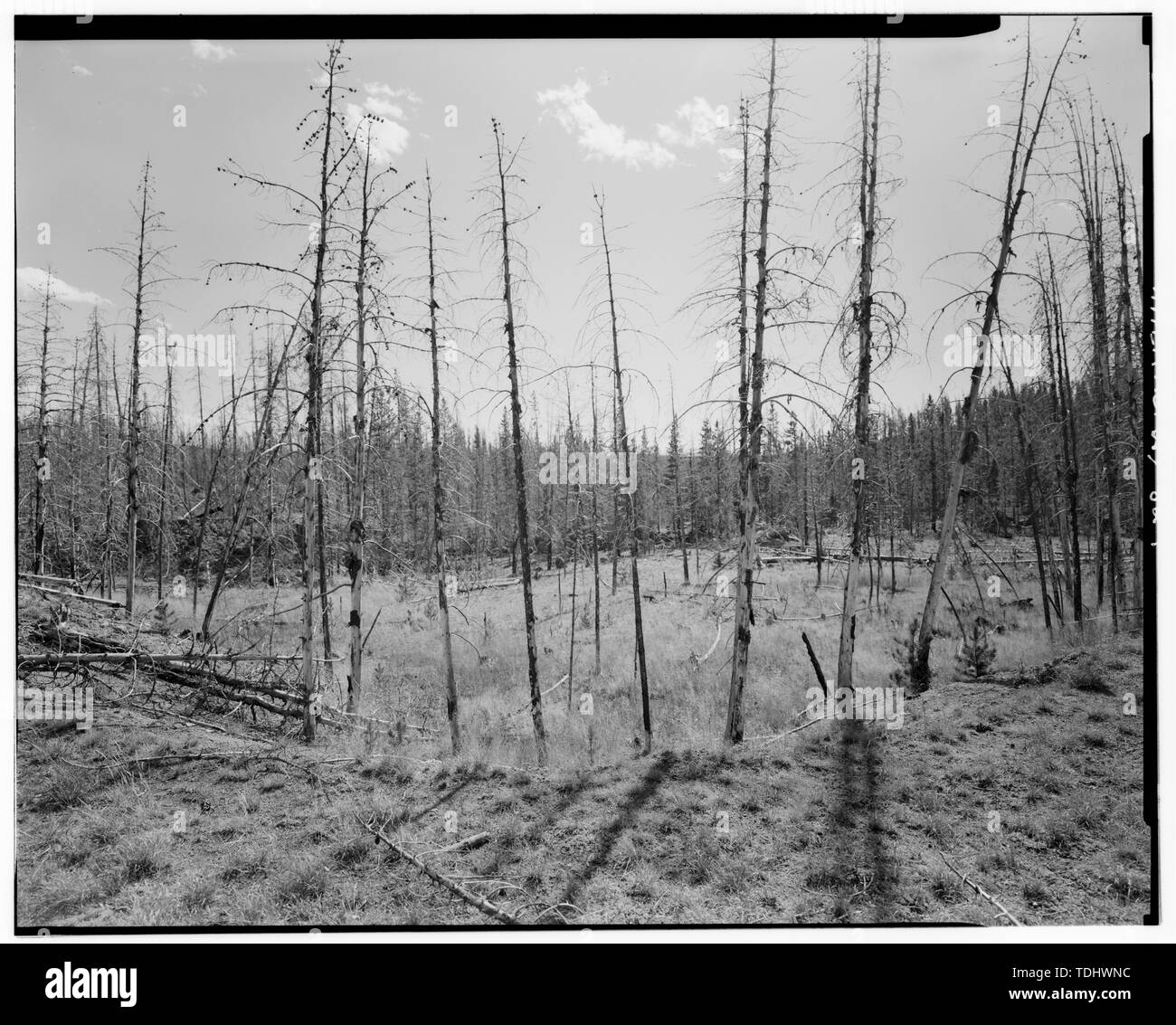 20 feet view Black and White Stock Photos & Images - Alamy
