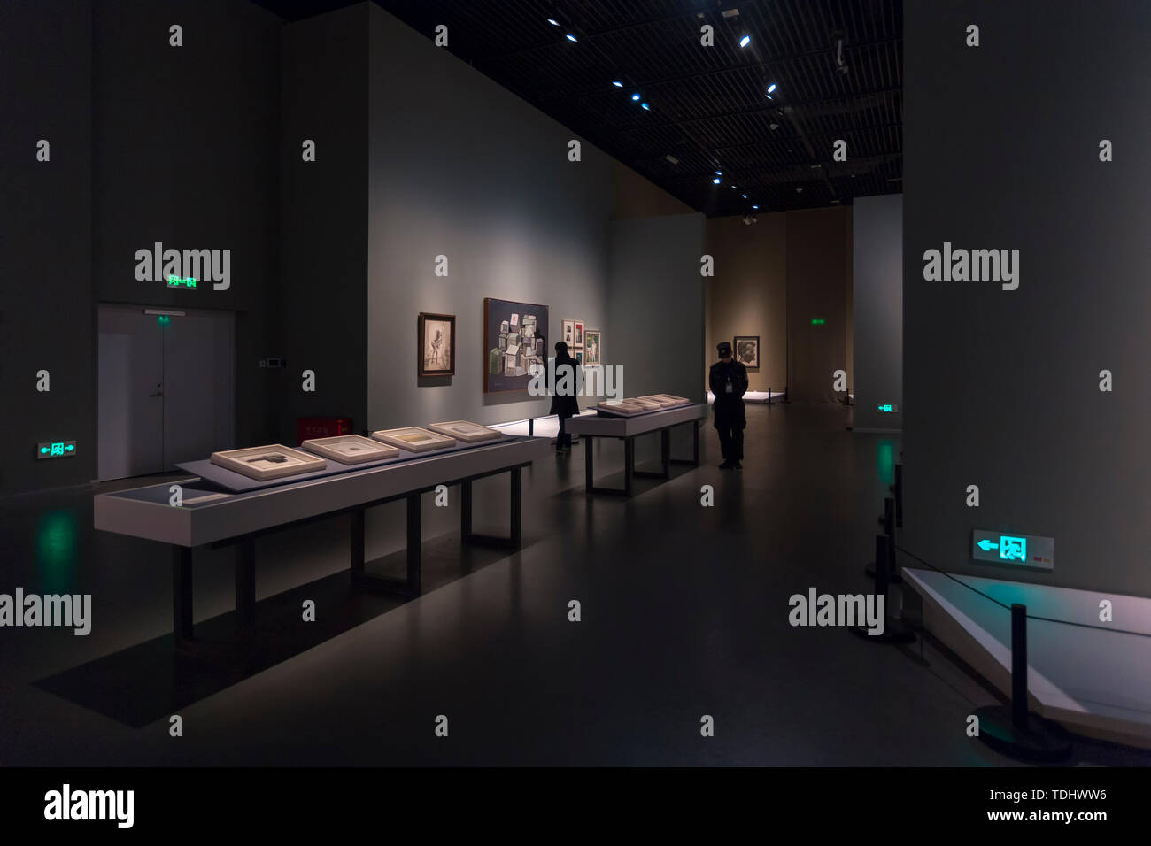 Chengdu Museum - Painting Exhibition with the Times Stock Photo - Alamy