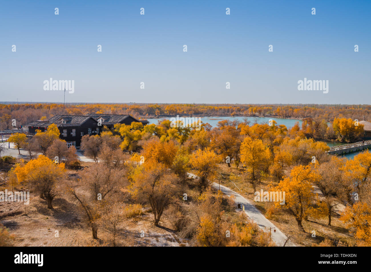 Poplar Lin, lake, reflection, beautiful scenery Stock Photo - Alamy