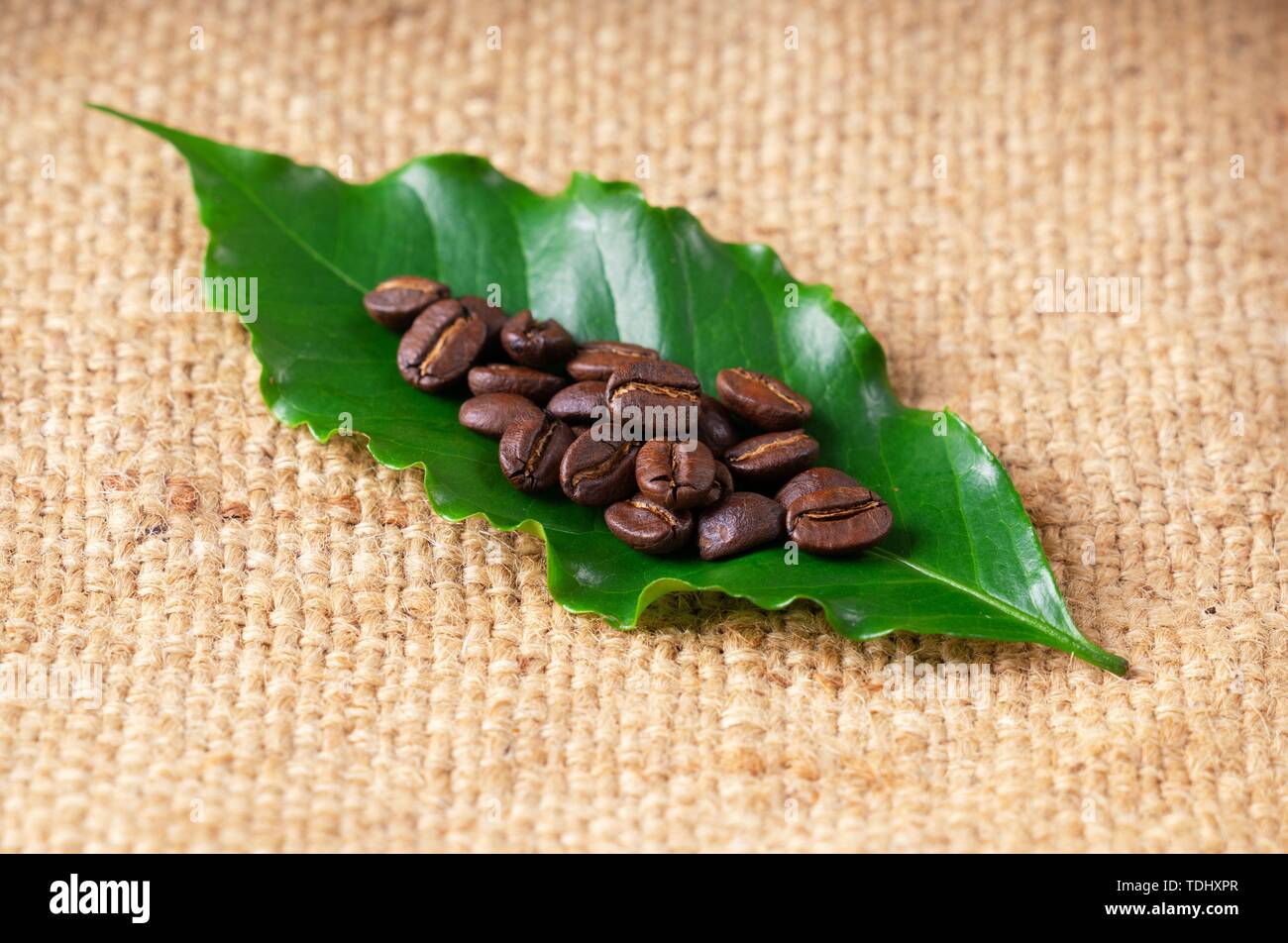 roasted coffee bean with leave on linin sack Stock Photo - Alamy