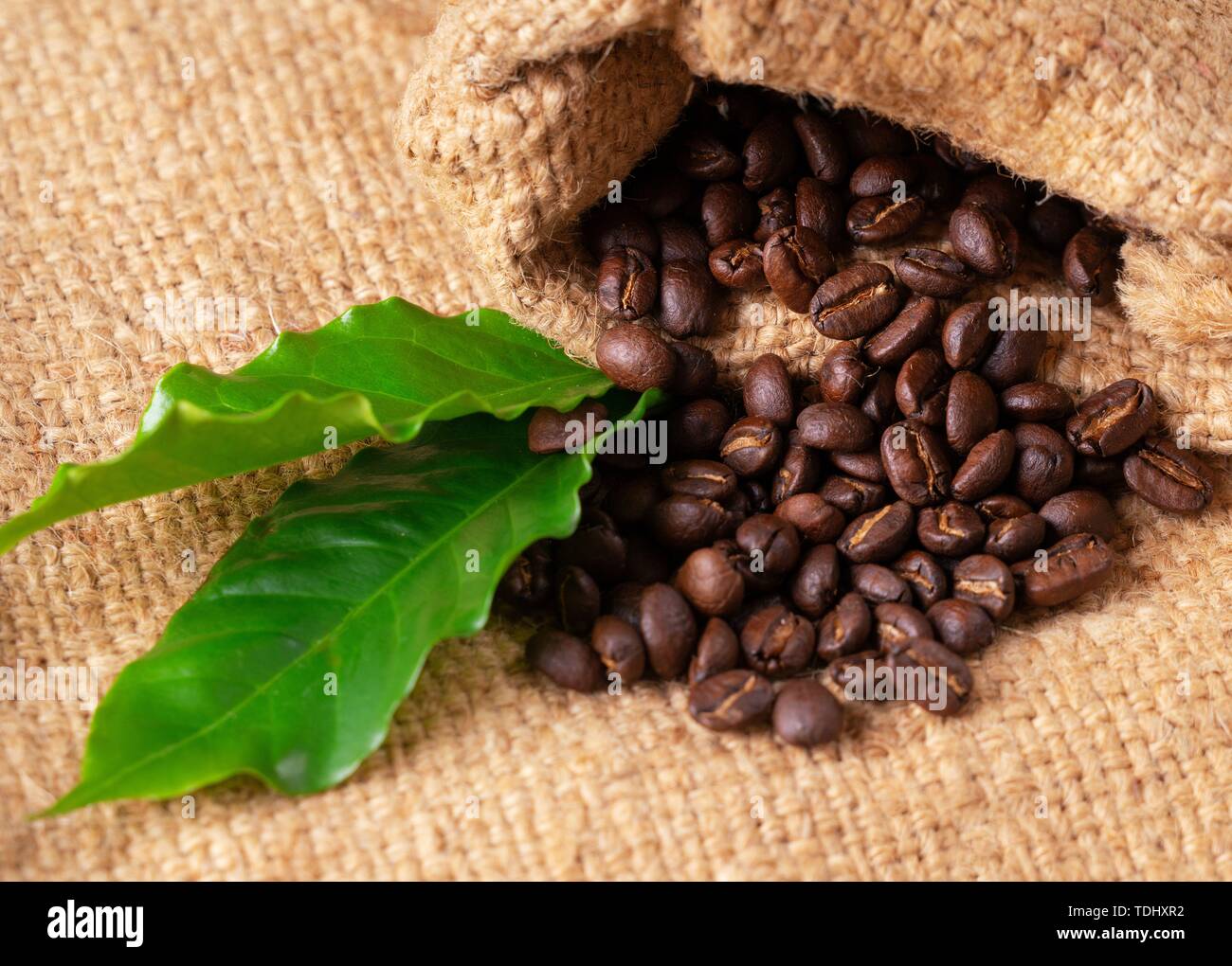 roasted coffee bean with leave on linin sack Stock Photo - Alamy
